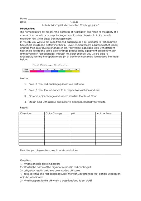 Rubric-for-Plating-Presentation...pdf | Cooking | Food & Drink