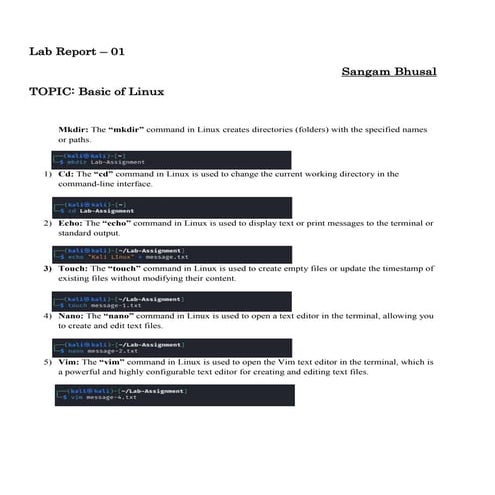Lab Report.1.docx | Operating Systems | Computer Software and Applications