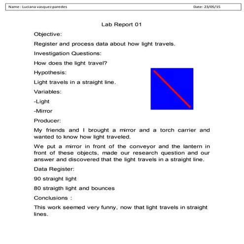 Lab report 01 | PDF