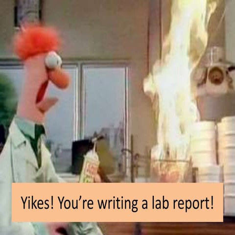 Writing a Lab Report | PPTX
