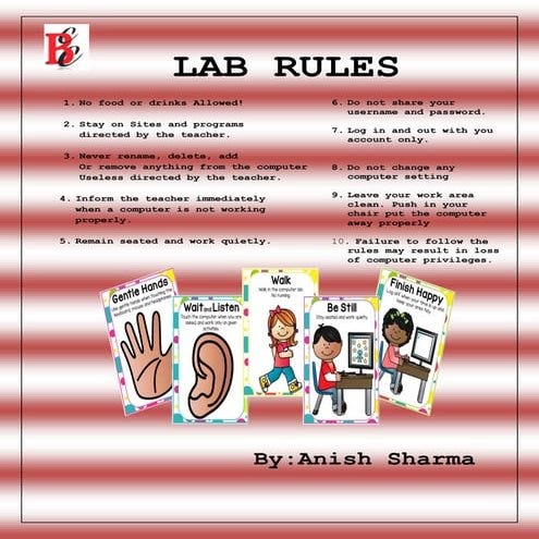 Lab rules | PDF