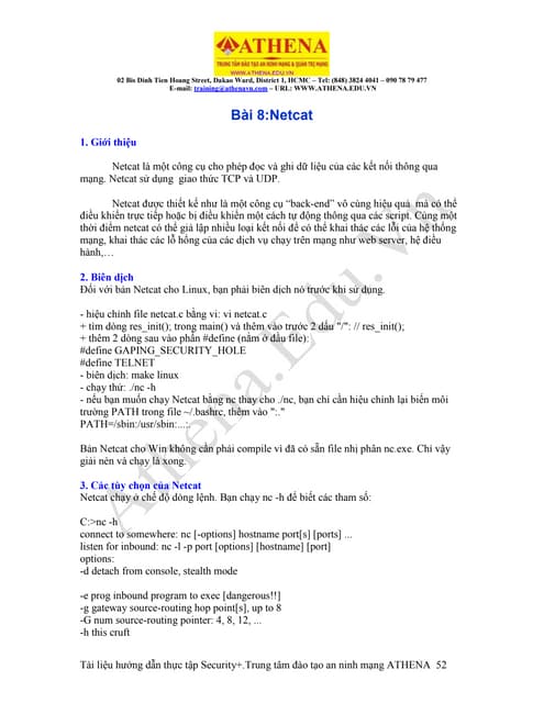 Lab Securitybaiso8 Netcat Pdf