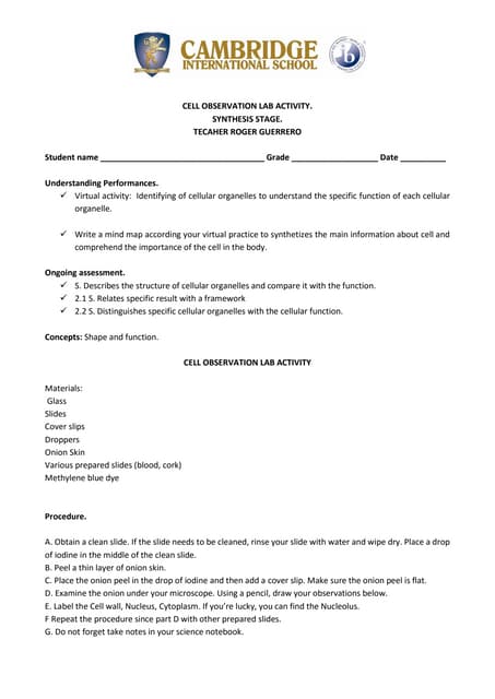 Onion and cheek cell lab | DOC | Biological Sciences | Science