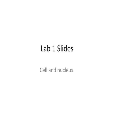 Lab slides- lab 1 personal pictures | PPT