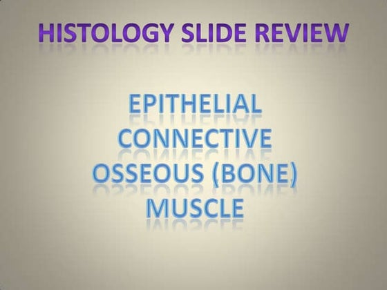 Anatomy of the ear | PPTX