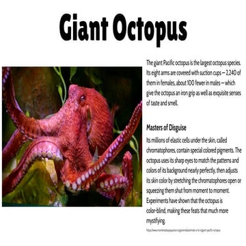 Ocean-themed Student Table Groups & Desk Tags | PPT