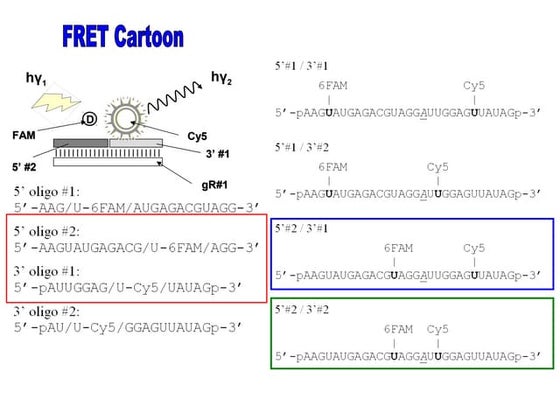 Polymerase chain reaction (pcr) & its | PPT