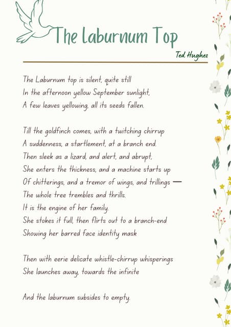 The laburnum top | PDF