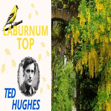 Class XI English poem, LABURNUM TOP.pptx