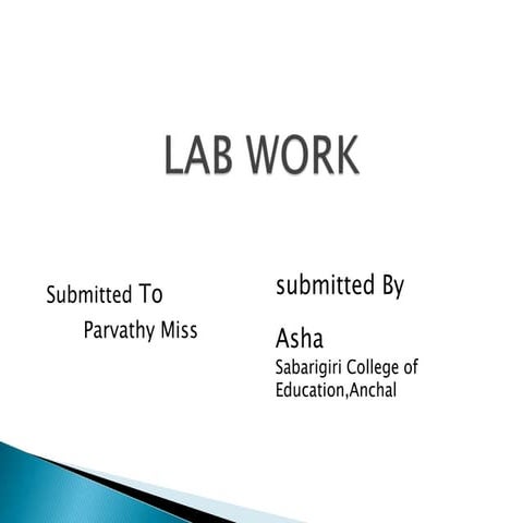 Lab work | PPTX | Education industry | Industries