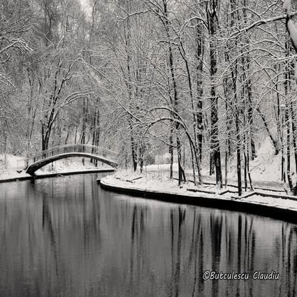 Winter lake | PDF