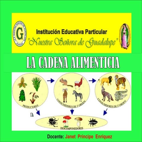 La cadena alimenticia | PPT