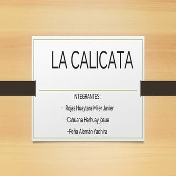 La calicata, y las superficies de los suelos | PDF