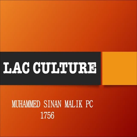 LAC CULTURE | PDF | Candle and Soap Making | Arts and Crafts