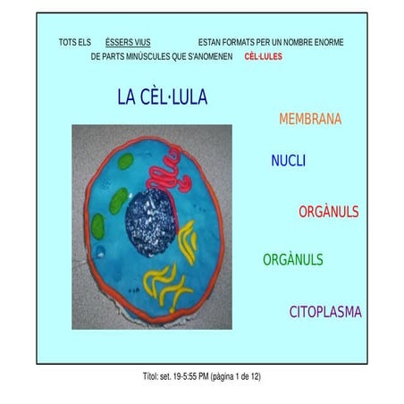 La cellula | PDF