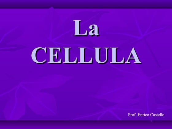 Cellula | PDF