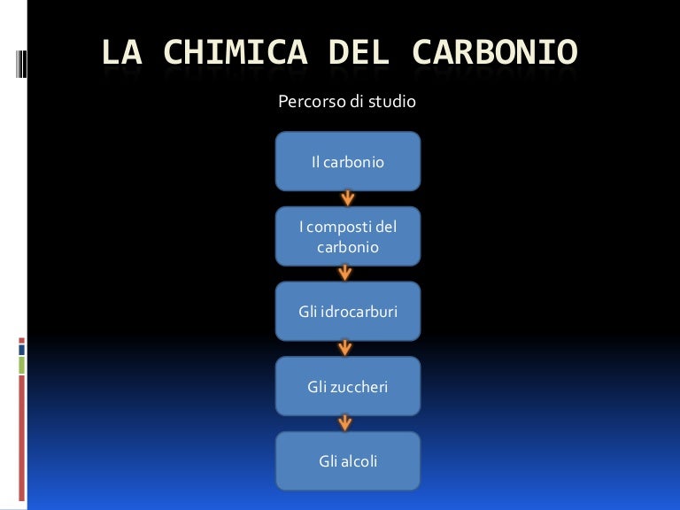 La Chimica Del Carbonio