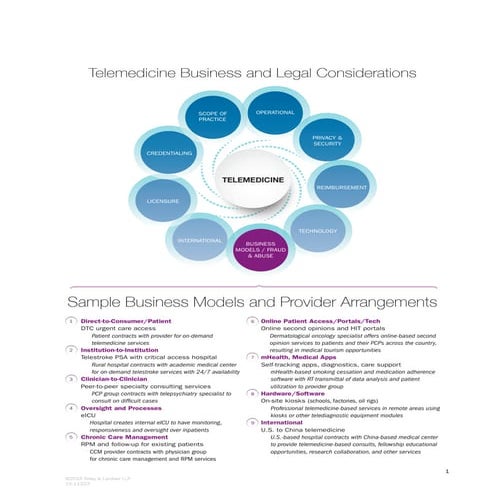 Telemedicine Business and Legal Considerations (handouts) | PDF
