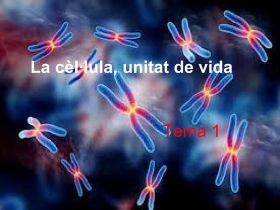 La cèl·lula | PPT