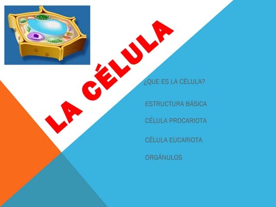 Diapositivas (la célula) | PPT