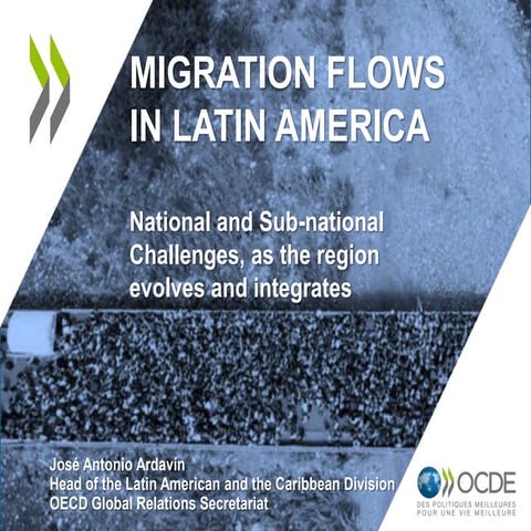 Migration Flows in Latin America: National and Subnational Challenges ...