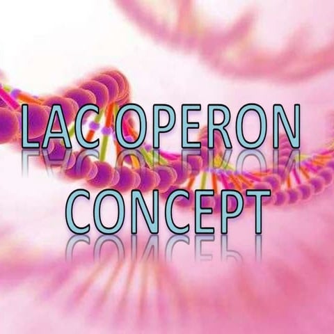 Lac Operon for class 12th | PPTX
