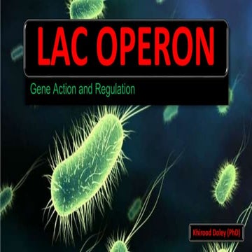 Lac operon by khirood | PPT