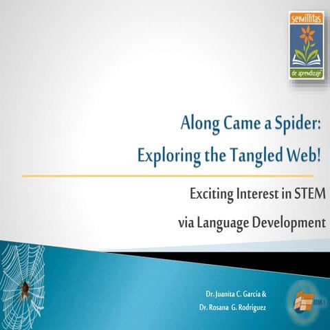 Along Came a Spider: Exploring the Tangled Web! – Exciting Interest in ...