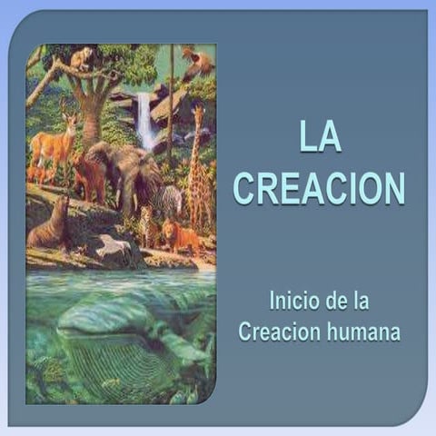 Creacion
