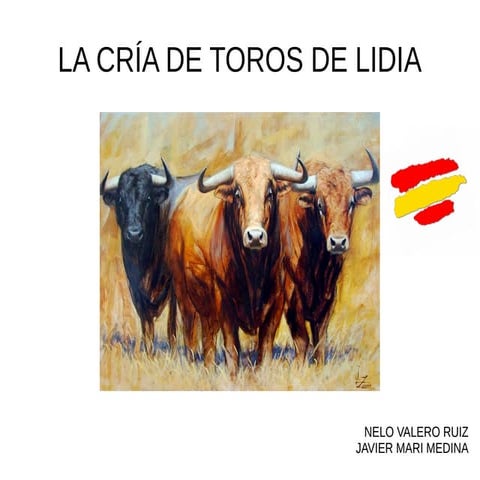 La cria del toro de lidia | PDF