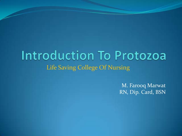 Protozoa Structure Ppt