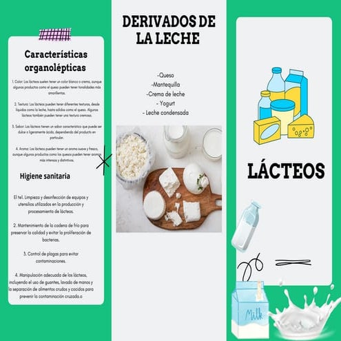 QUE SON LOS LACTEOS_QUE TAN IMPORTANTE ES | PDF