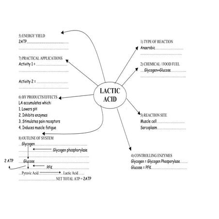Lactic acid handout | DOC