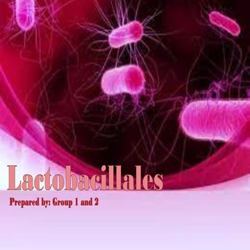 Lactobacillales-Group-1-2-Presentation.pdf
