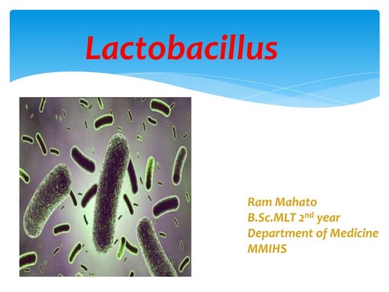 Lactobacilli- Homo and Hetero lactic acid Fermentation and its ...
