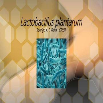 Lactobacillus plantarum | PPTX