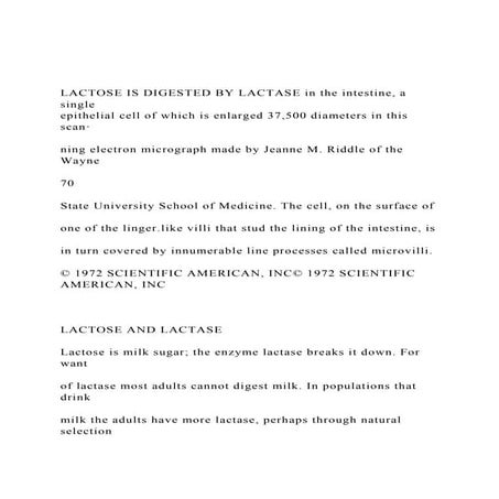 Lactose intolerance 3 | PDF