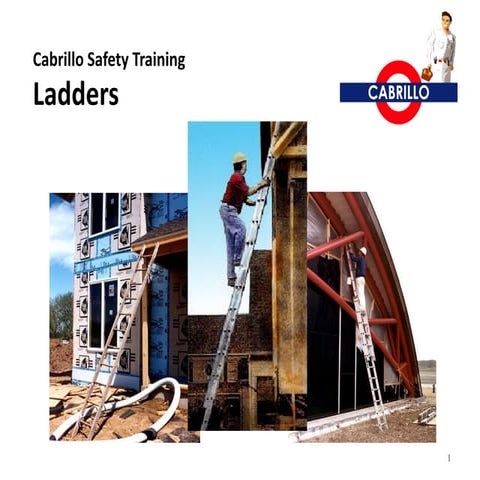 Ladder Safety PDF | PPT