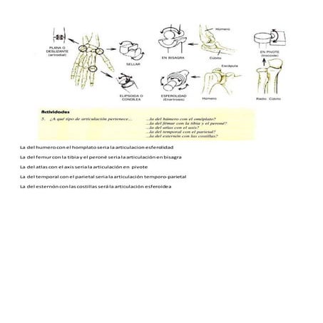 Shell BGC Avdhesh Appreciation Award | PDF