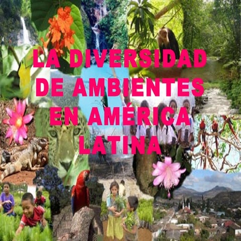 Que Ambientes Hay En America Latina COP30: Cómo Avanzan Gobiernos,