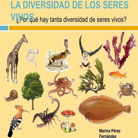La diversidad de los seres vivos | PPTX