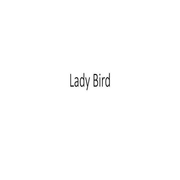 Lady Bird Film Study Key Moment One.pptx