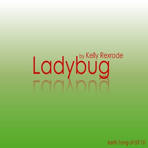 Ladybug | PPT