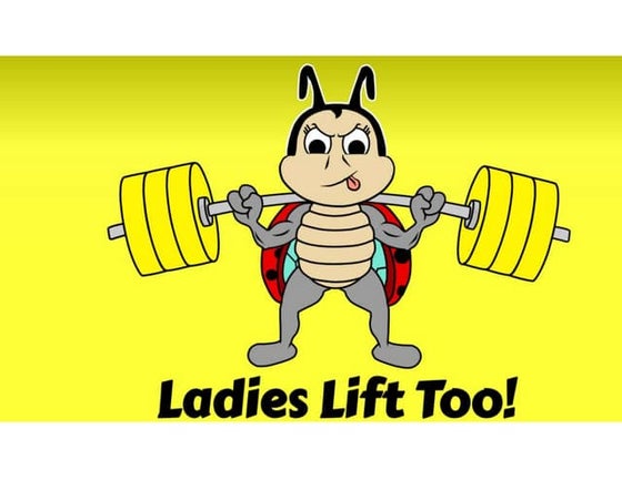 Weight lifting bumble bee | PDF