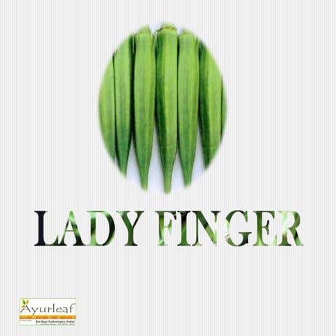Health benefits Of Lady Finger | PPTX
