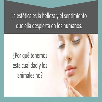 La estética es la belleza y el sentimiento que ella despierta en los ...