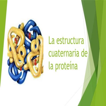 La estructura cuaternaria de la proteína | PPTX