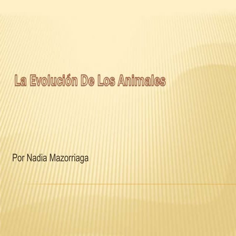 La evolución de los animales | PPTX
