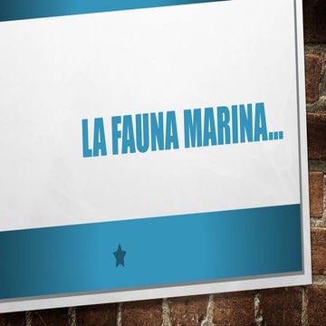 La fauna marina | PPTX