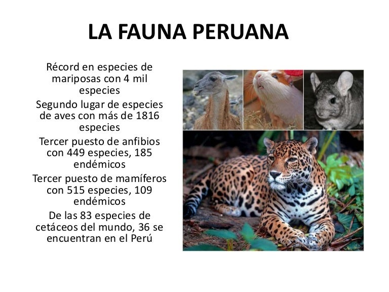 La fauna peruana